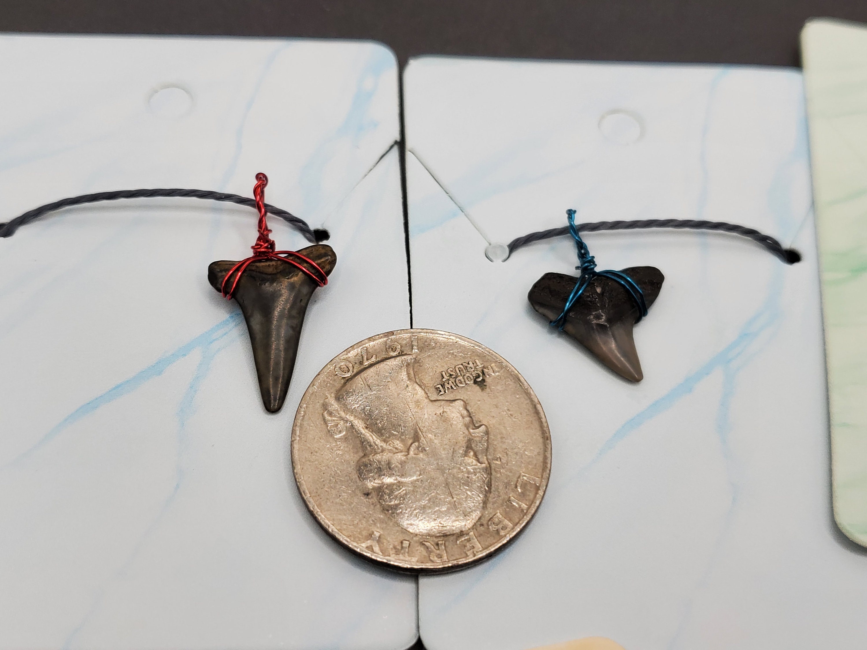 Shark Tooth Necklace Surfer Shark Necklace Wire Wrapped Shark - Etsy