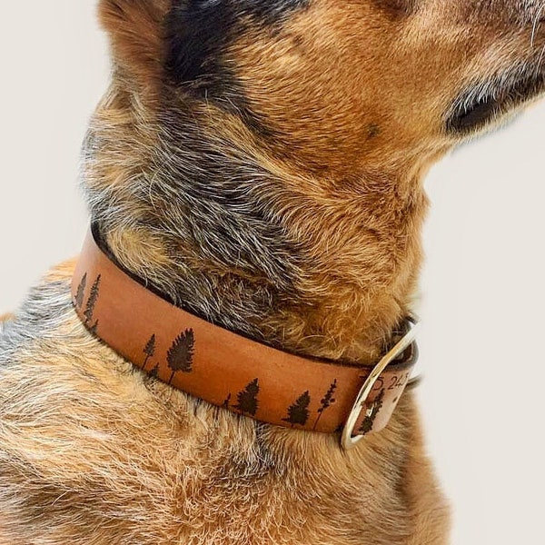 Leather Dog Collar Pattern - Etsy