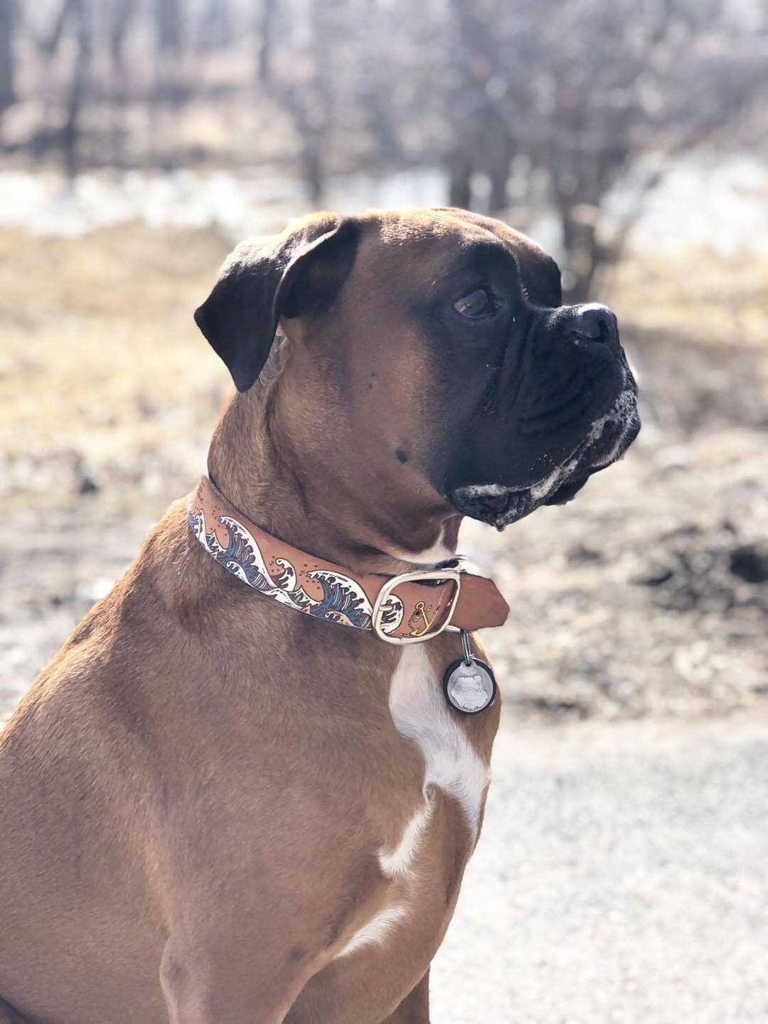 Nautical Leather Dog Collar Ocean Waves Custom - Etsy