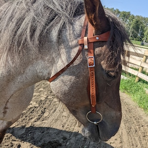 Leather Horse Headstall - Cross - Floral - Rhinestone - Custom ...
