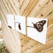 Growth is a Process | 3 Panel Artwork| Solid Wood Wall Art ...