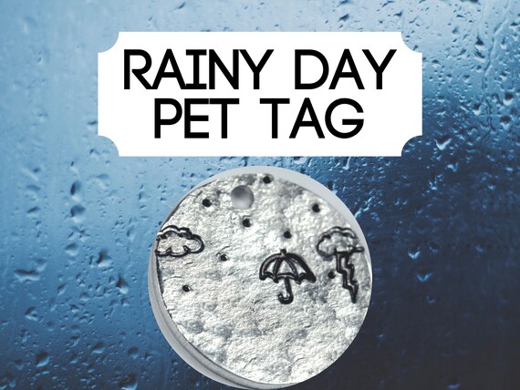 Rainy Day Raindrop Cloud Lightning Pet Tag Cat Name Tag | Etsy