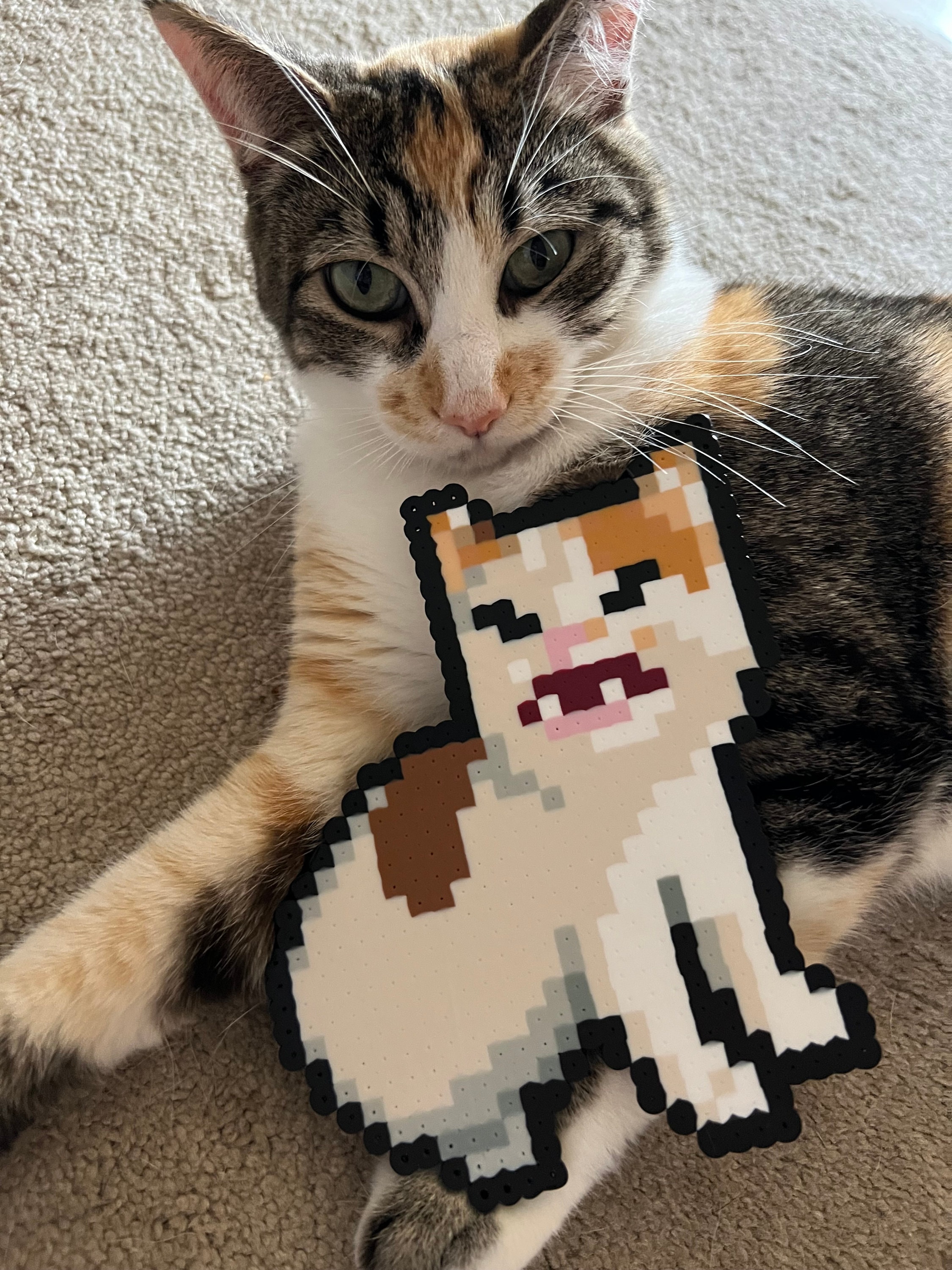 Calico Meme Cat - Etsy