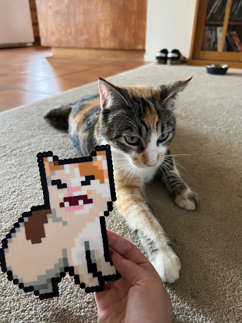 Calico Meme Cat - Etsy