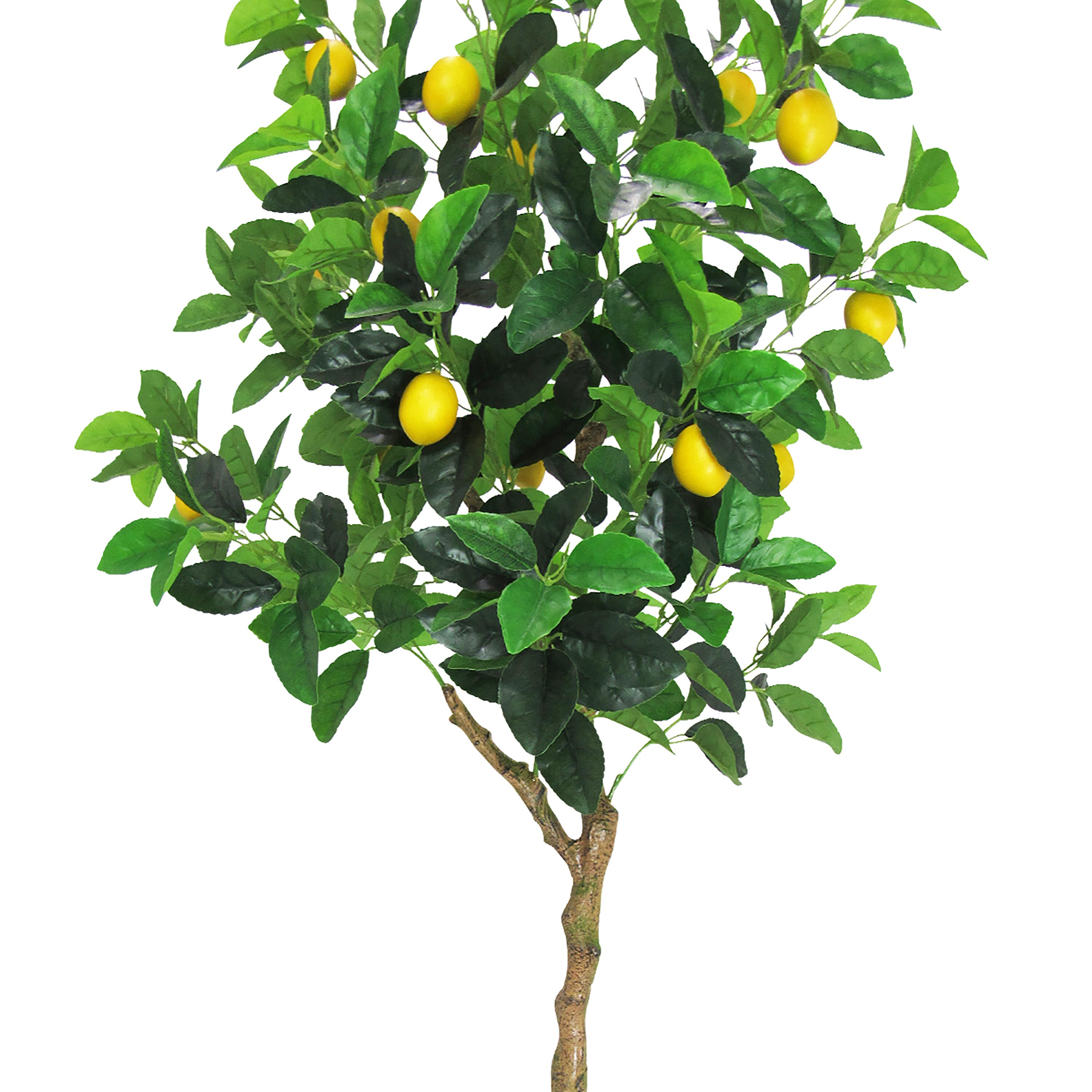 Real Touch Artificial Lemon Tree in Black Pot Faux Lemon - Etsy