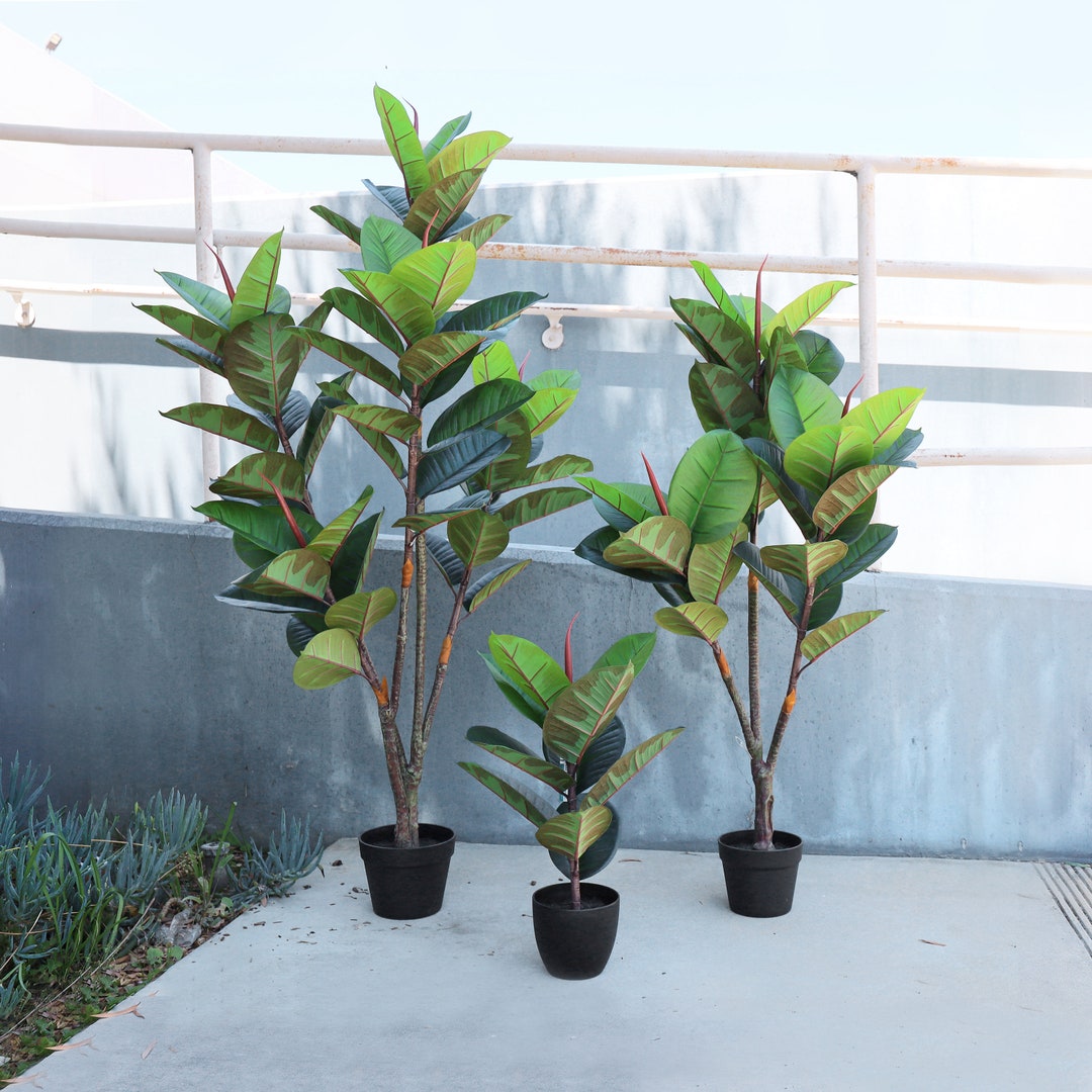 Real Touch Artificial Rubber Plant Fig Leaf Tree in Black Pot | Faux ...