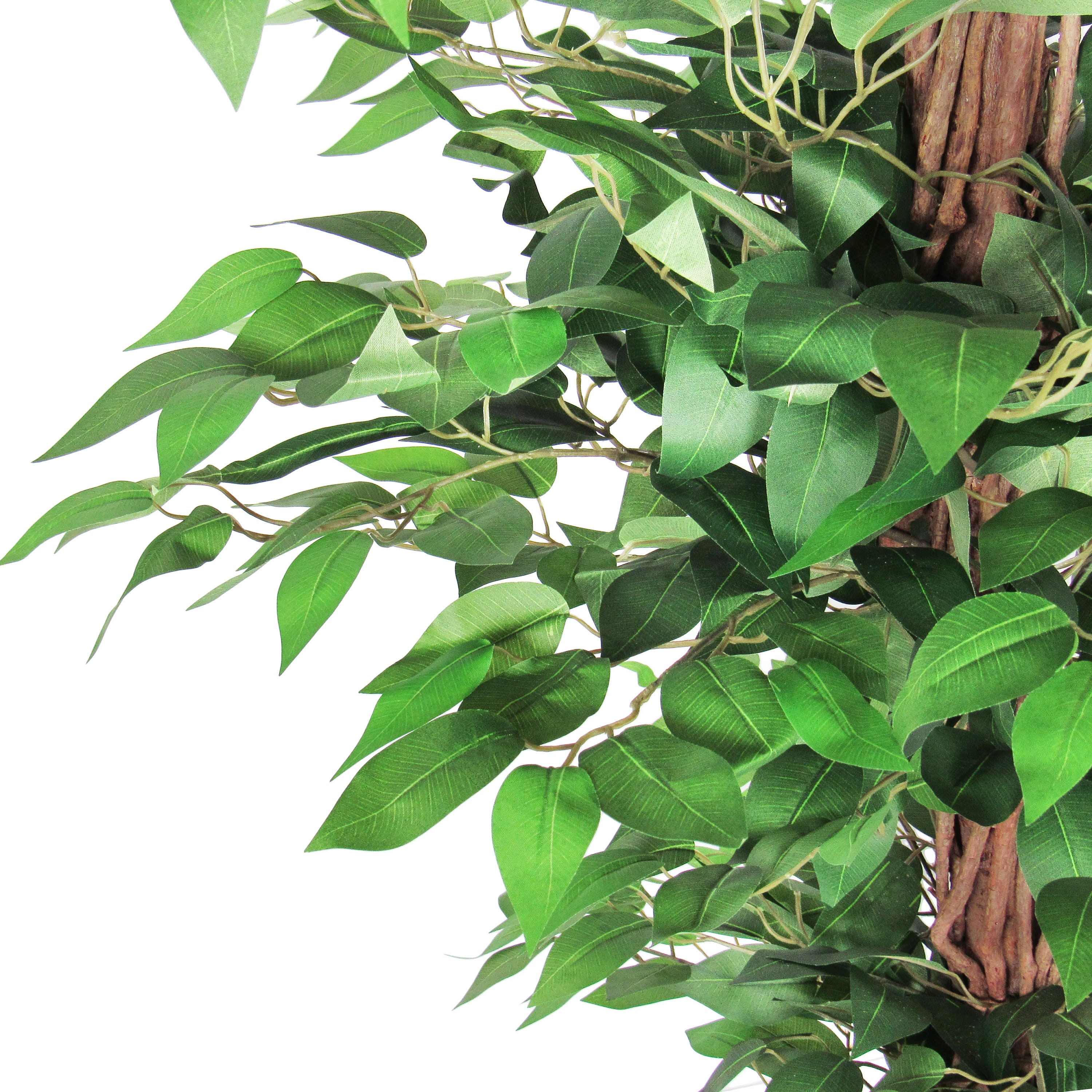 6ft Artificial Ficus Tree in Black Pot Fake Faux Ficus Tree - Etsy