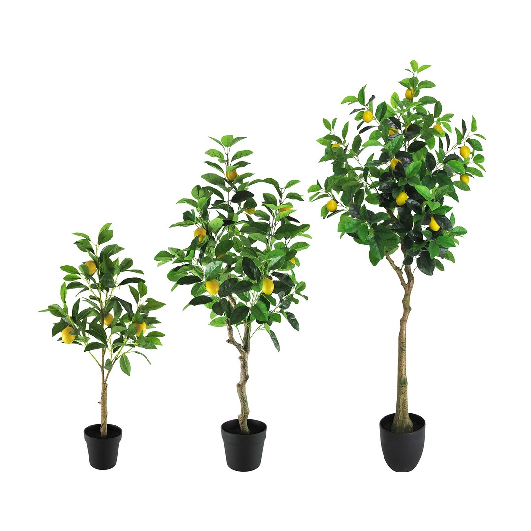 Real Touch Artificial Lemon Tree in Black Pot Faux Lemon - Etsy