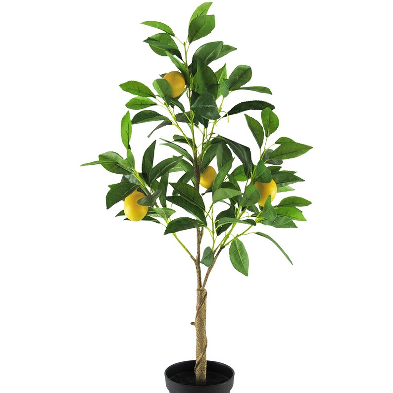 Real Touch Artificial Lemon Tree in Black Pot Faux Lemon - Etsy