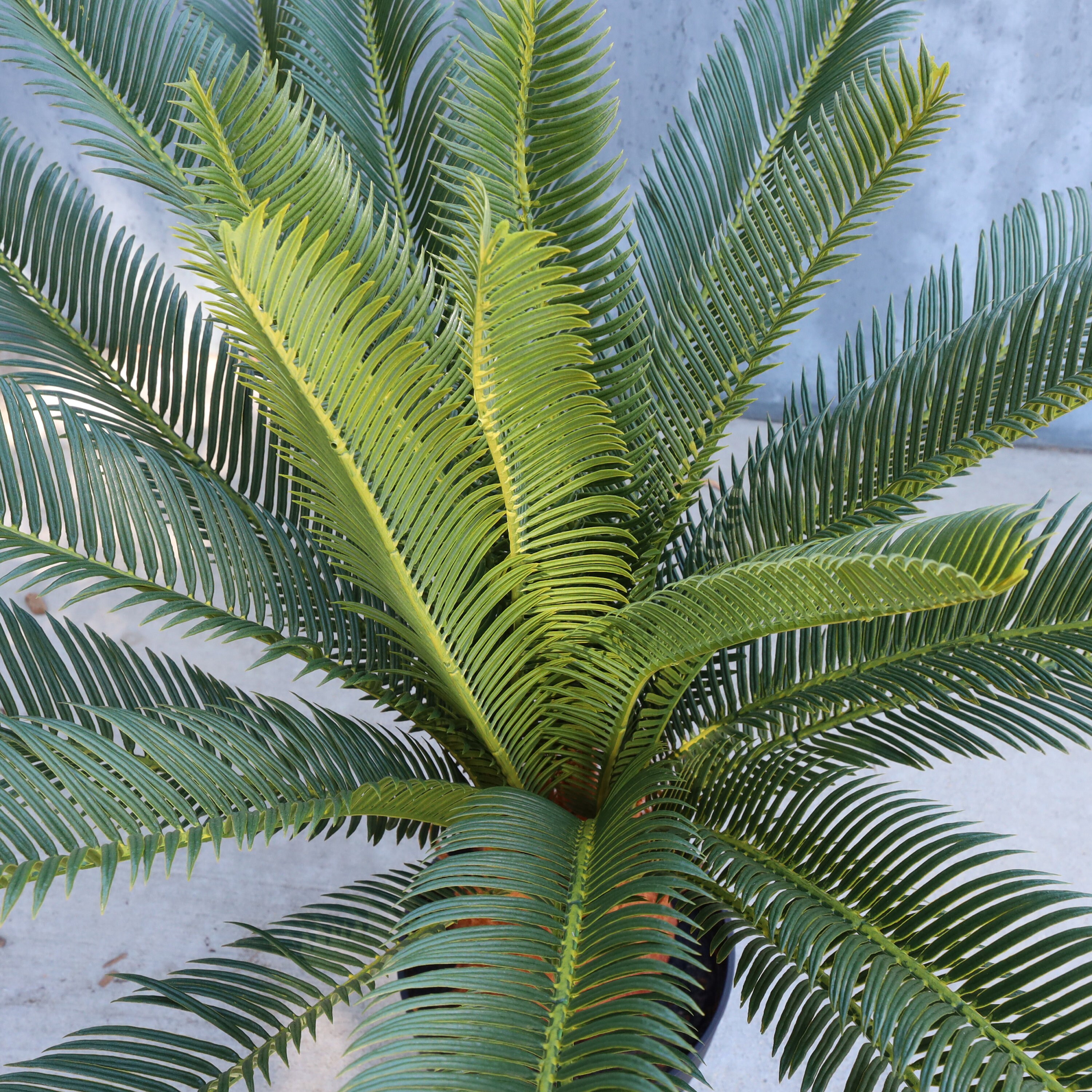 28in Artificial Sago Cycas Palm Tree in Black Pot | Tropical Fake Faux ...