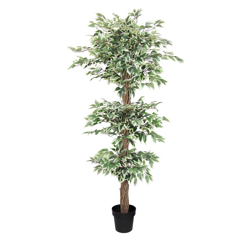 6ft Artificial Ficus Tree in Black Pot Fake Faux Ficus Tree - Etsy