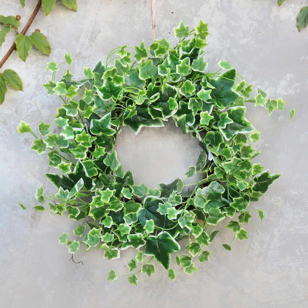 Artificial Ivy Wreath Foliage Leaf Wreath Twig Ring 22in Everyday Year ...