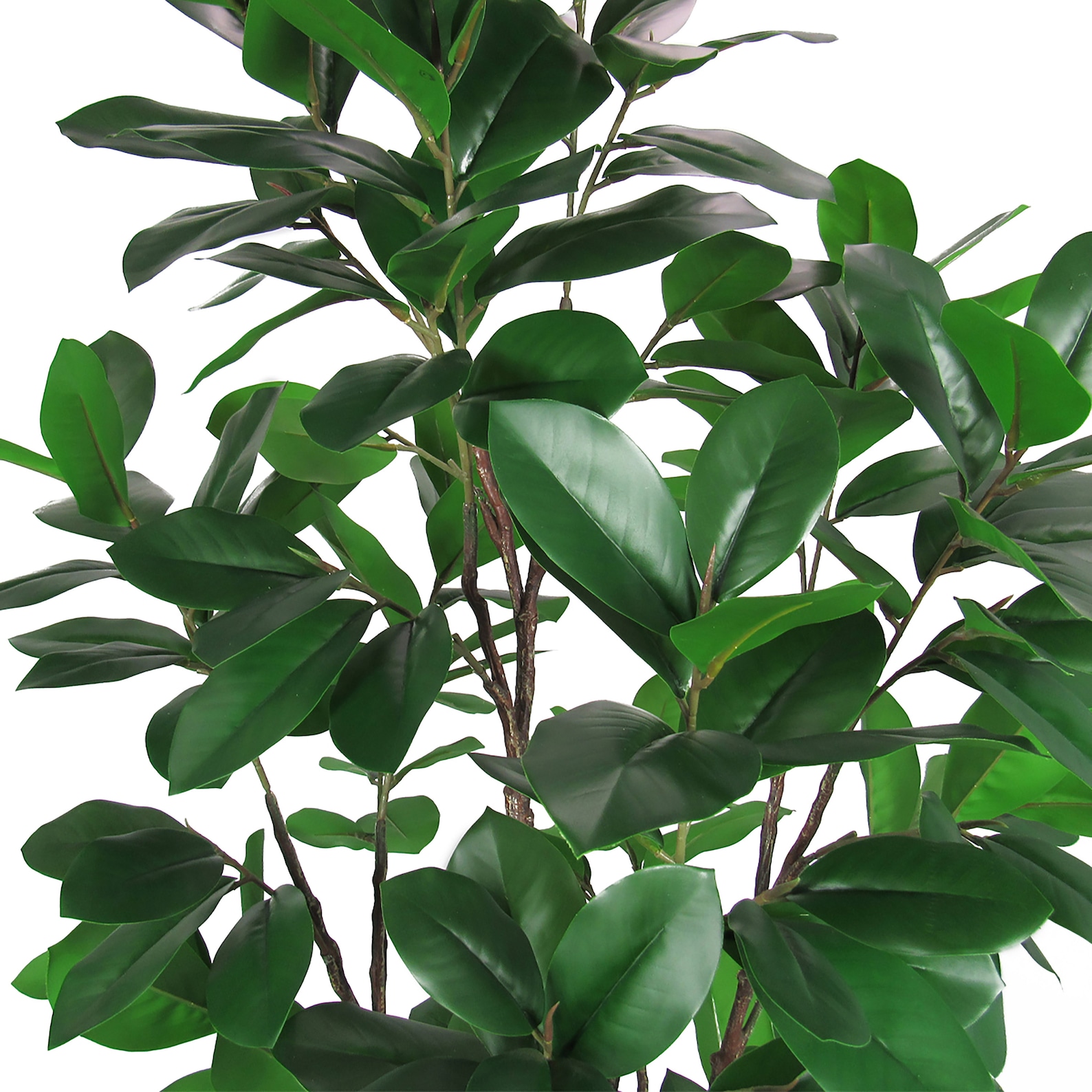 Artificial Magnolia Leaf Tree in Black Pot Faux Magnolia - Etsy