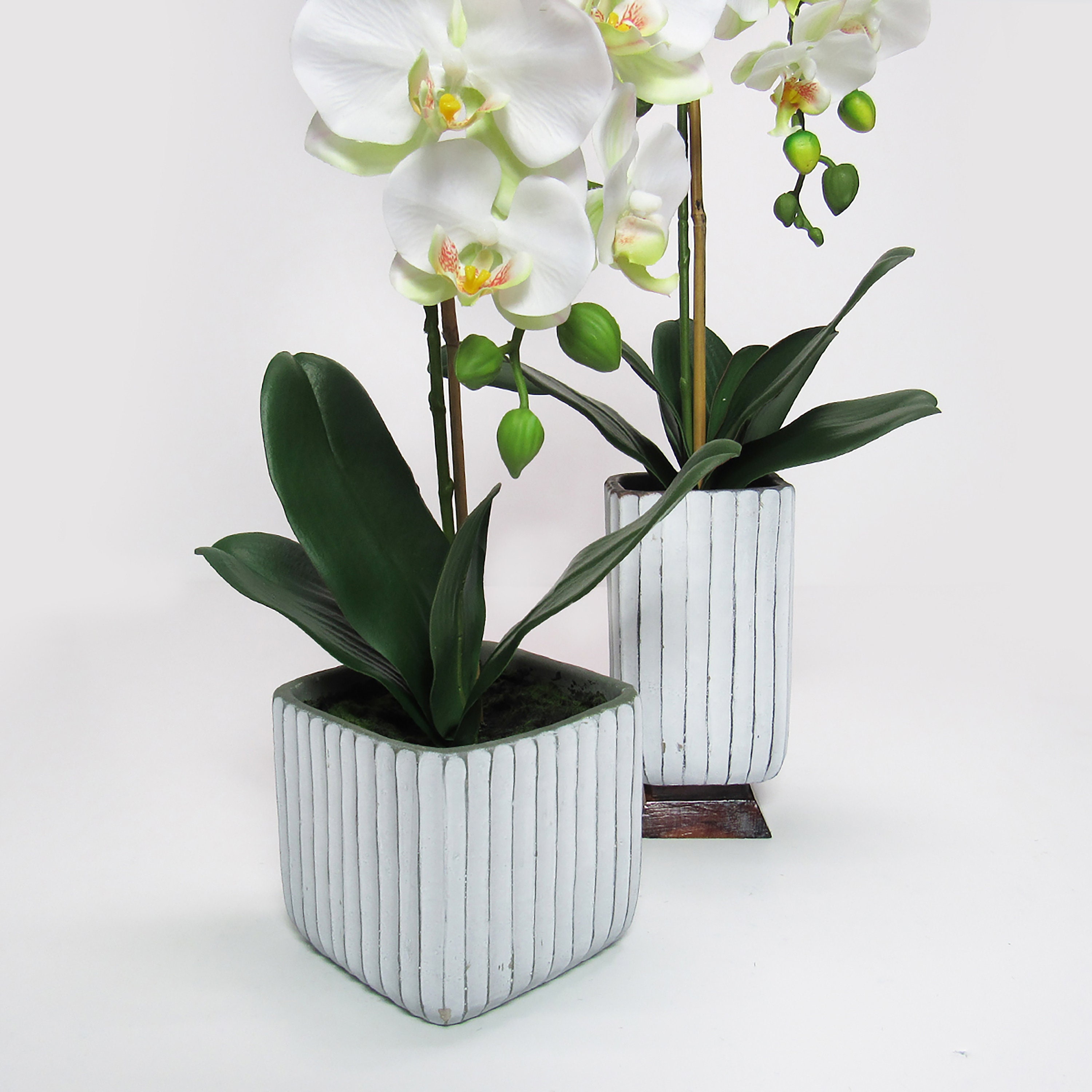 Artificial Phalaenopsis Orchid Flower Arrangement in Embossed | Etsy
