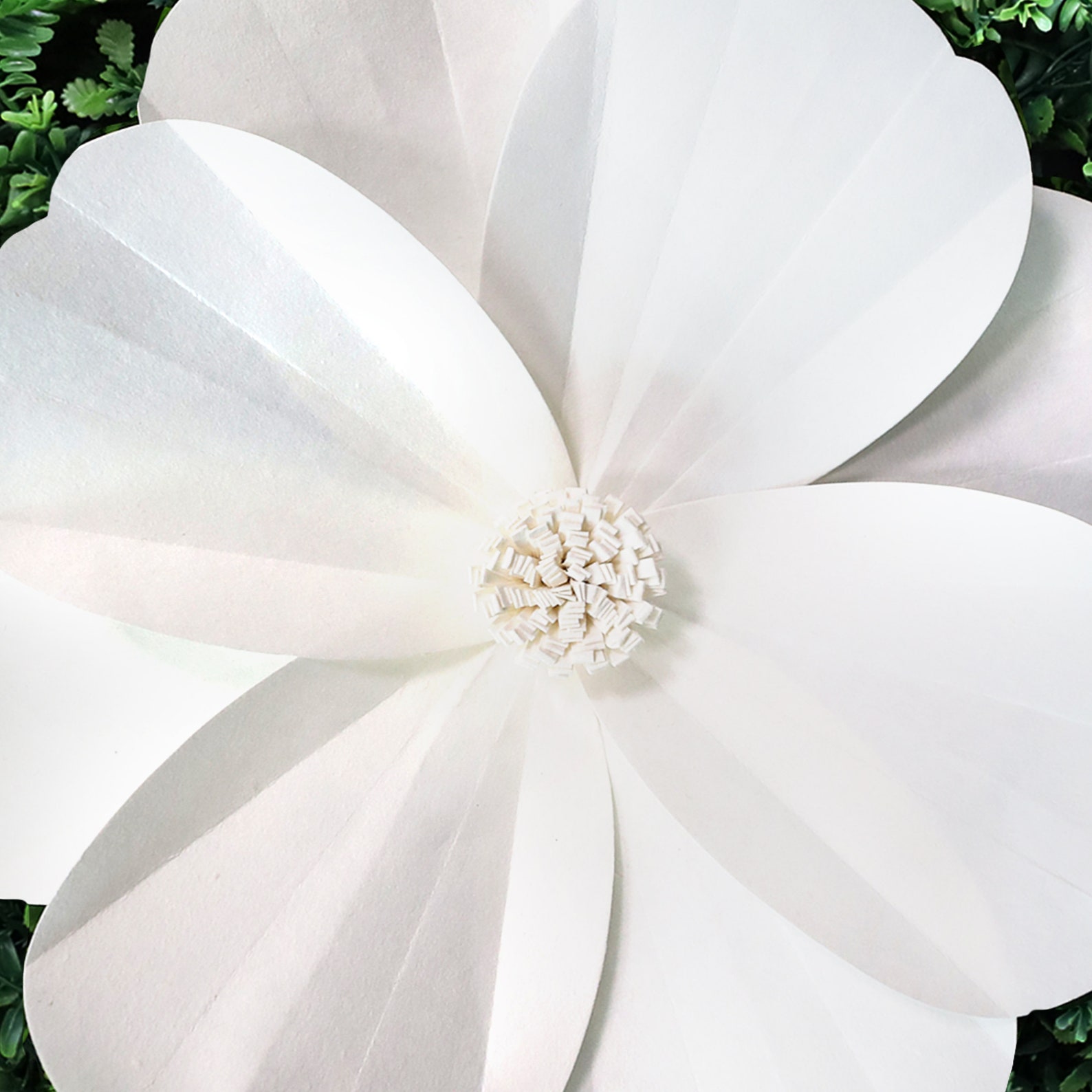 Set of 3 | 12in Large Paper Cosmos Daisy Flowers | White Flower Wall ...
