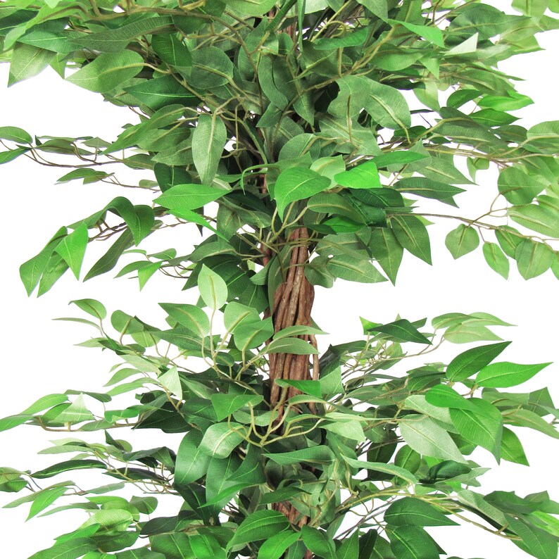 6ft Artificial Ficus Tree in Black Pot Fake Faux Ficus Tree - Etsy
