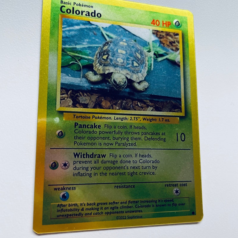 Custom Mtg Cards - Etsy