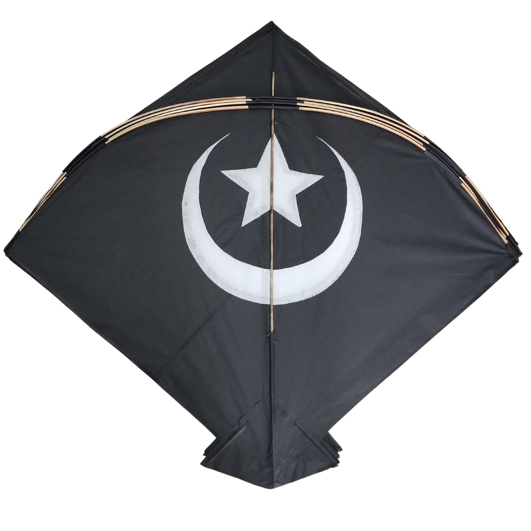 Premium Paper Kite, Indian Paper Kite , Tournament Championship Fighter ...