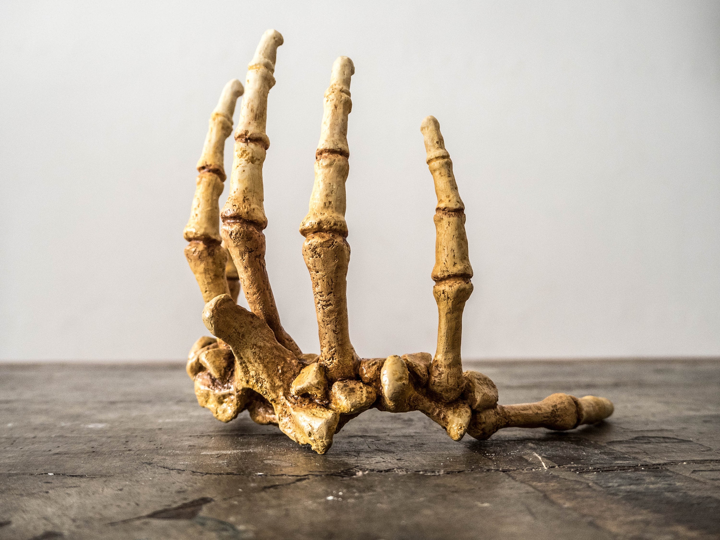 Bone Crown Tiara Vampire FingerBone BoneCrown Dracula Baroque | Etsy