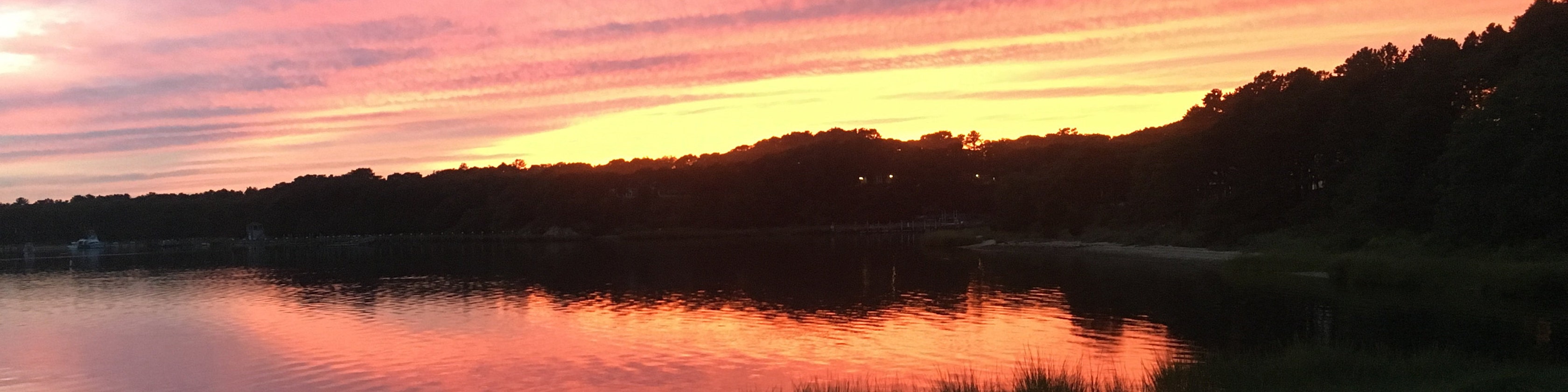 CapeCodCurated - Etsy