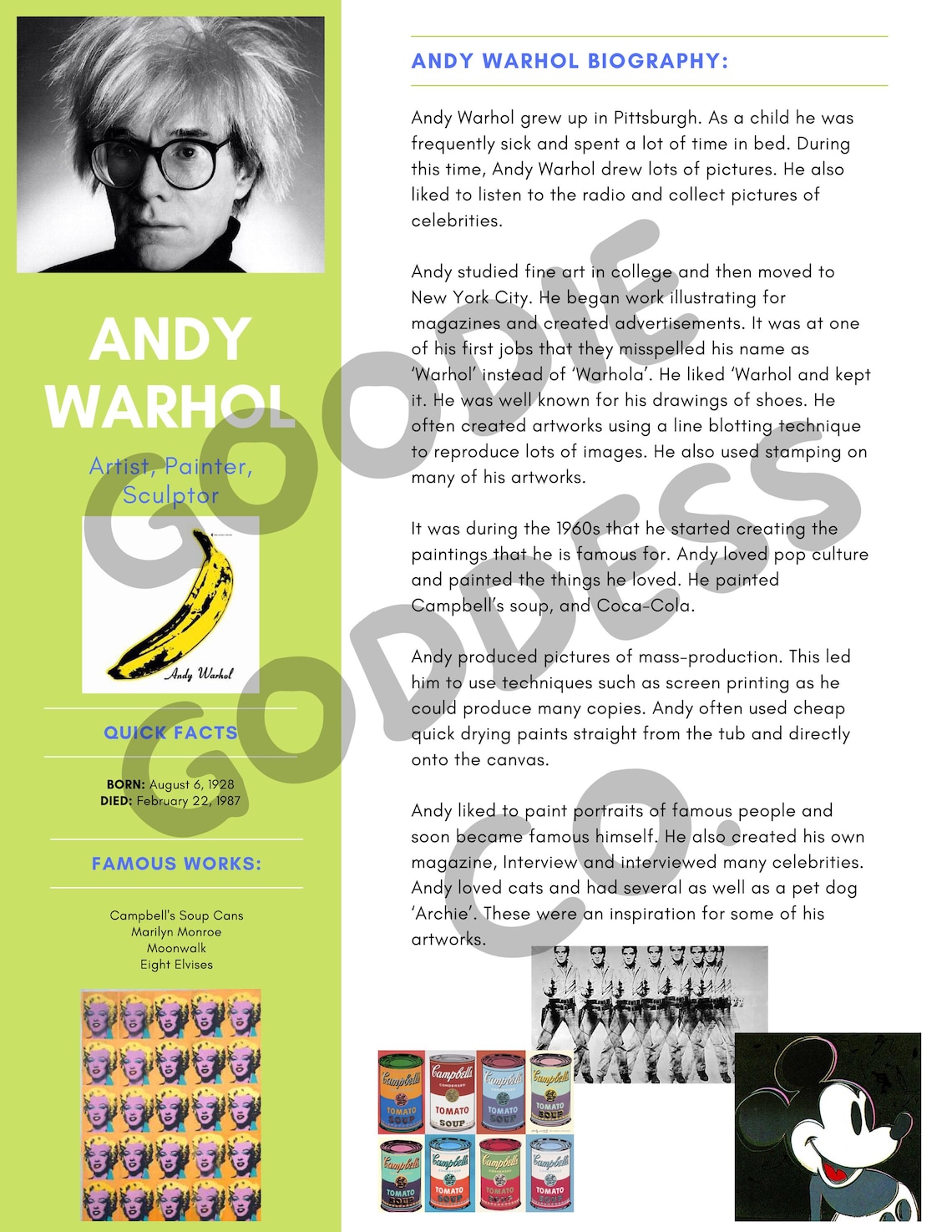 PRINTABLE Andy Warhol - Artist Bio (teacher Resource!) - Etsy