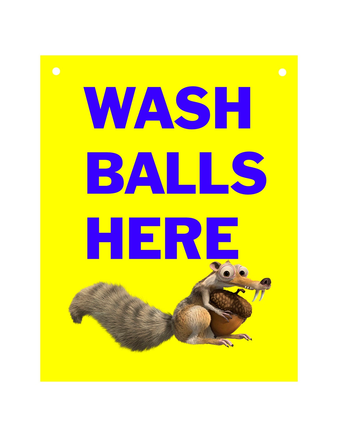 WASH BALLS HERE Metal Aluminum Sign 8"x10 - Etsy