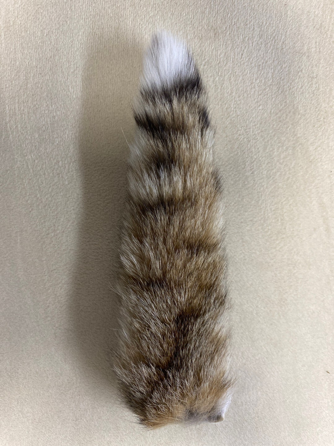 Natural Bobcat Tail Keychain - Etsy