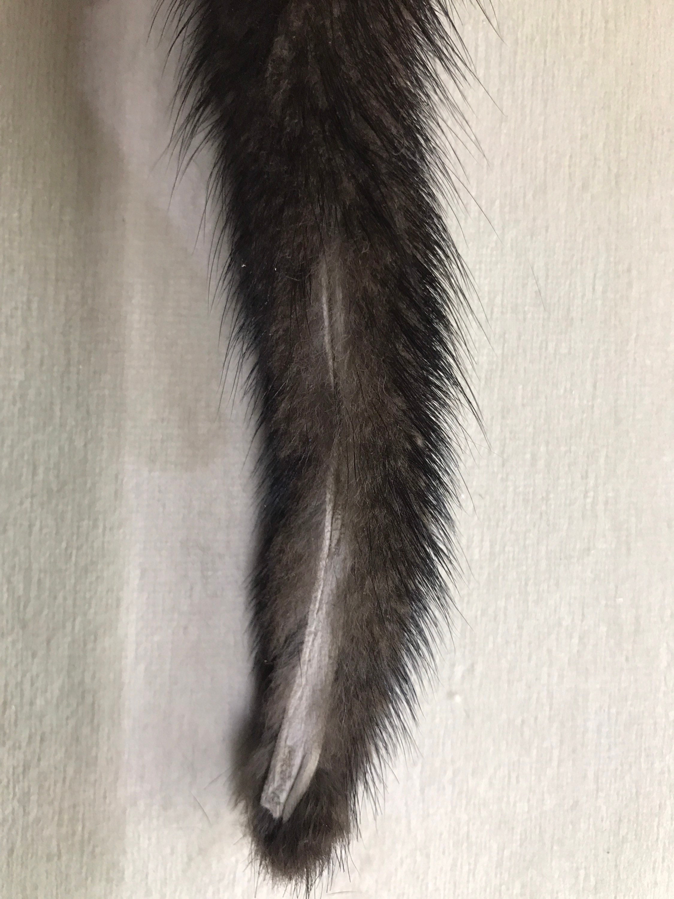 Natural Brown Mink Tail Keychain - Etsy UK