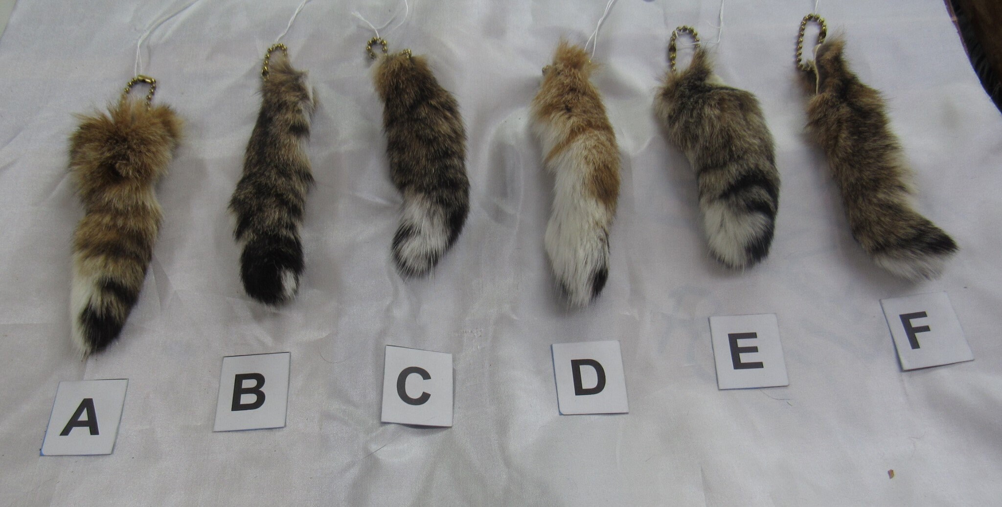 Tail Keychain - Etsy