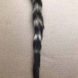 Natural Ring-tailed Cat Tail Keychain - Etsy