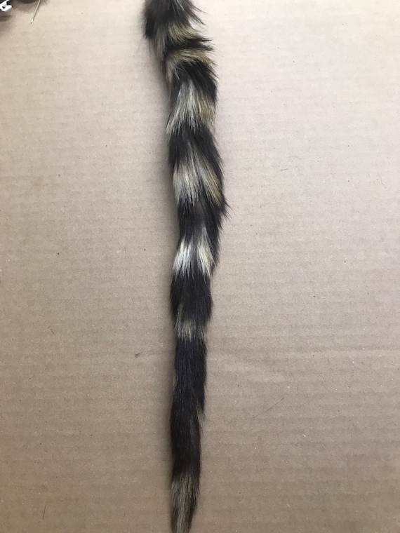 Natural Ring-tailed Cat tail keychain | Etsy