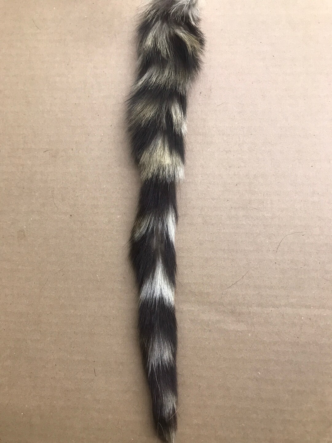 Natural Ring-tailed Cat Tail Keychain - Etsy