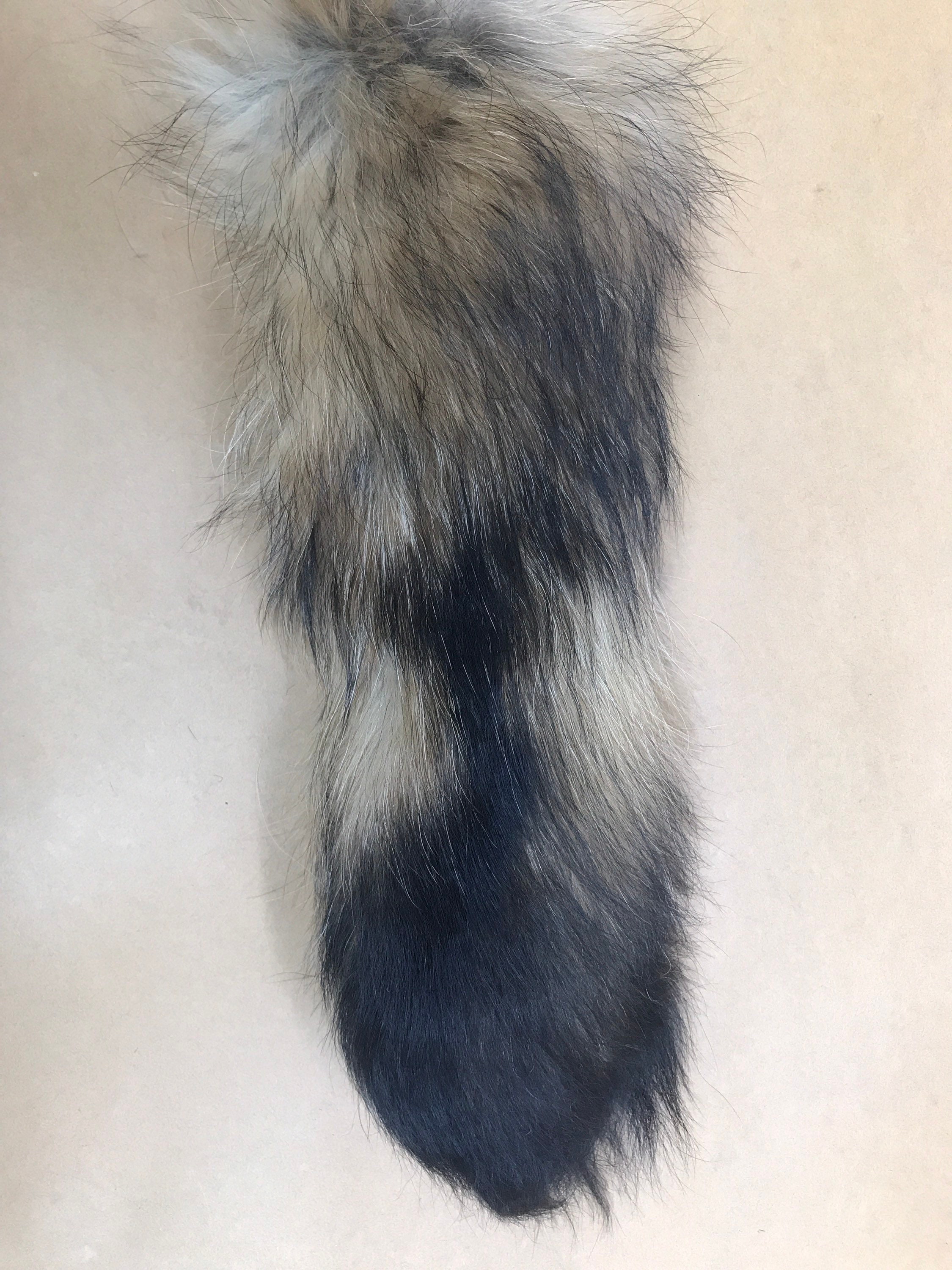 Natural Finn Raccoon Tail Keychain - Etsy