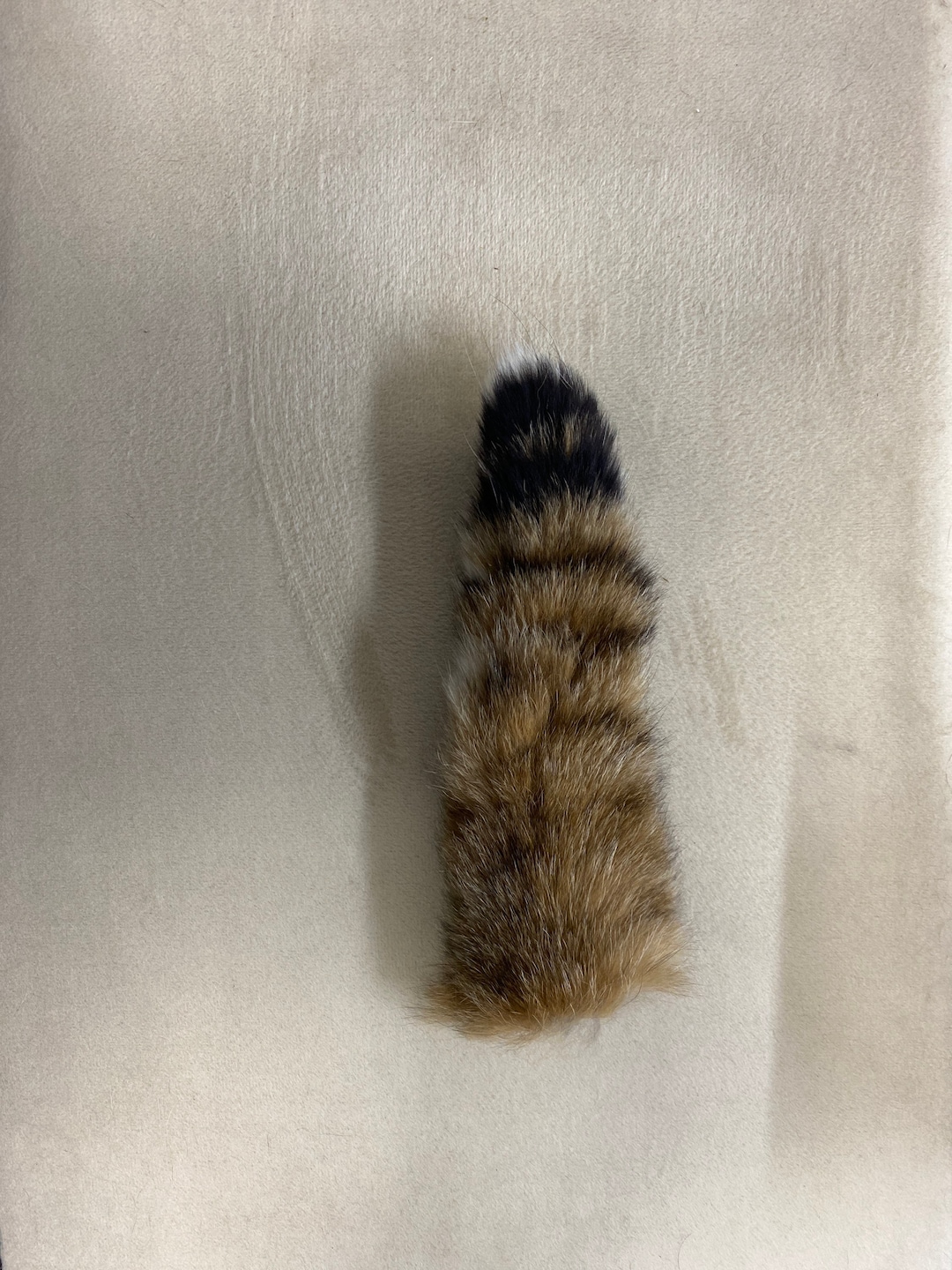 Natural Bobcat Tail Keychain - Etsy