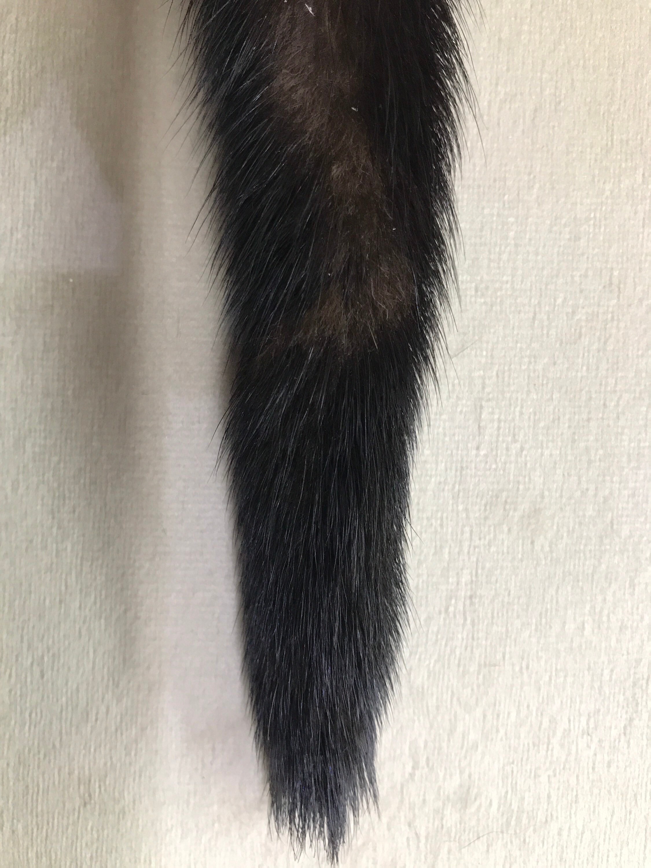 Natural Brown Mink Tail Keychain | Etsy