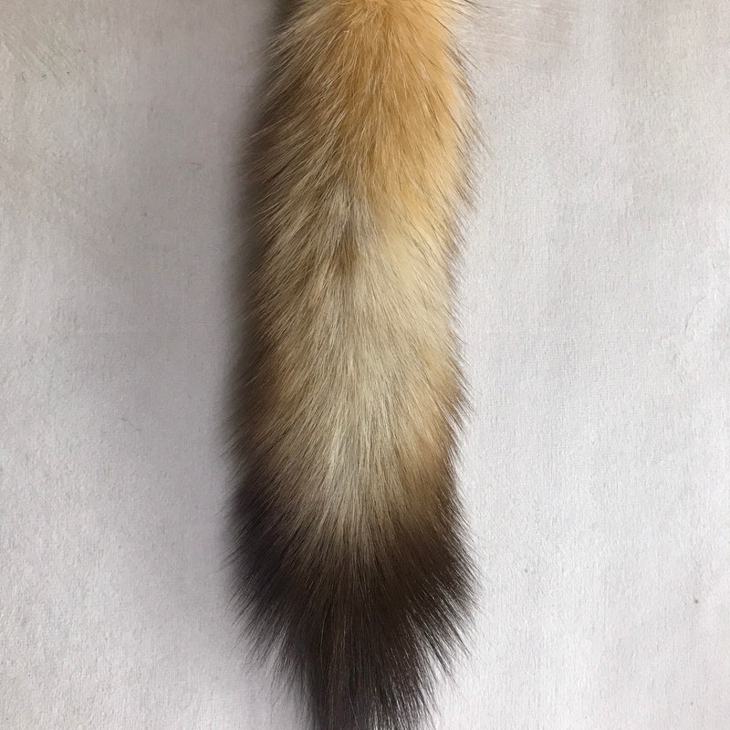 Tail Keychain - Etsy