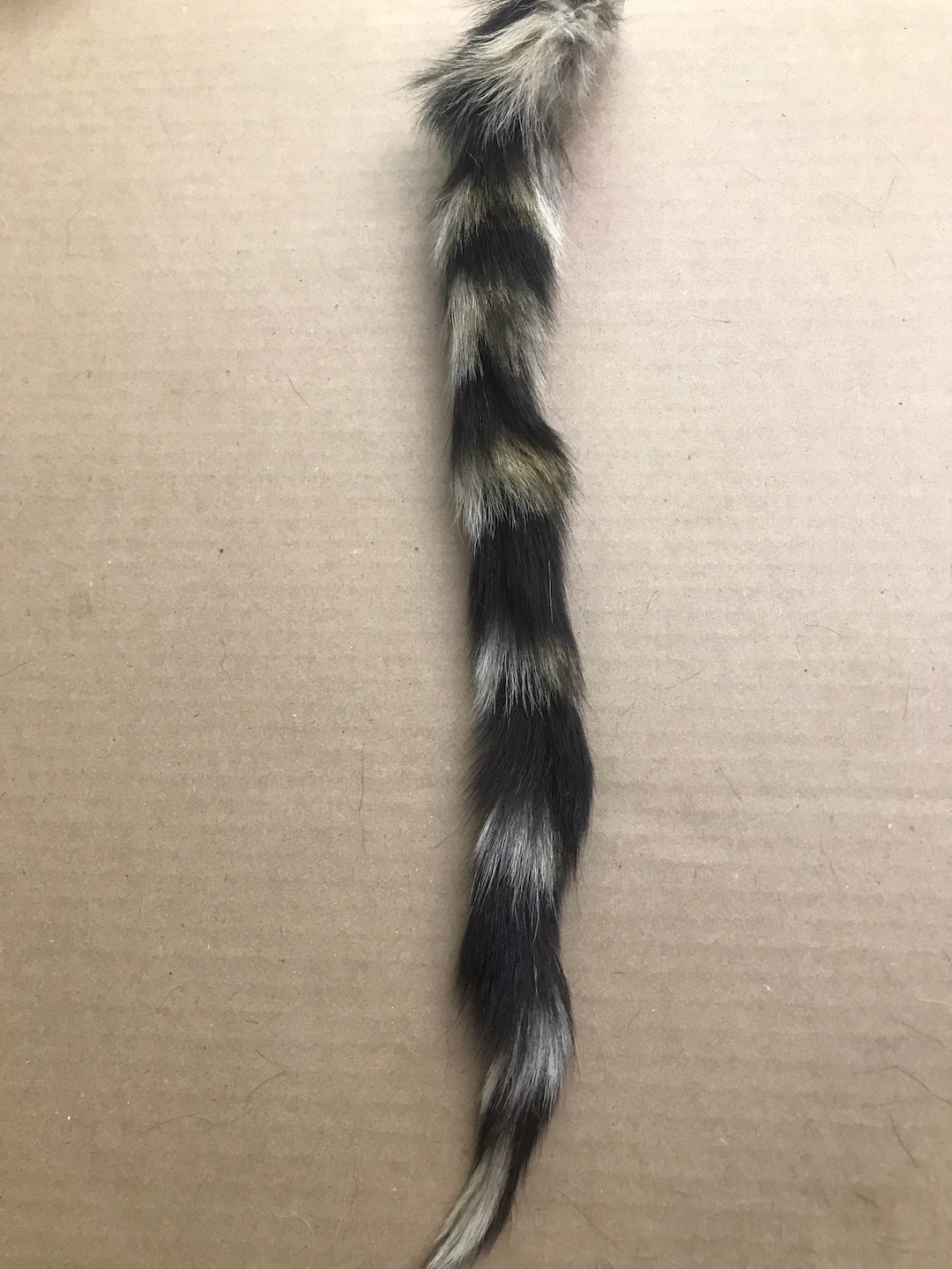 Natural Ring-tailed Cat Tail Keychain - Etsy