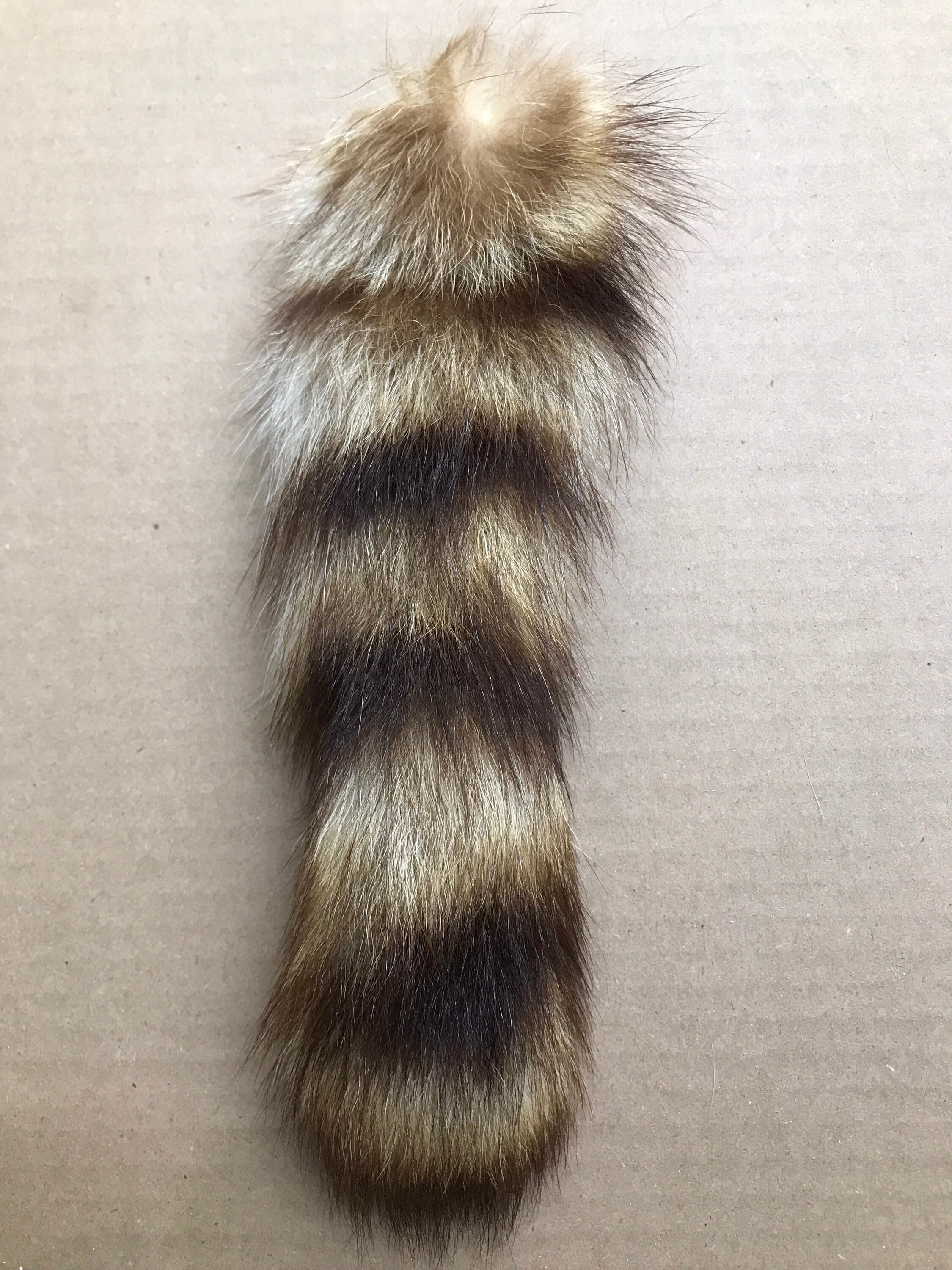 Llavero de cola de mapache blanqueado | Etsy