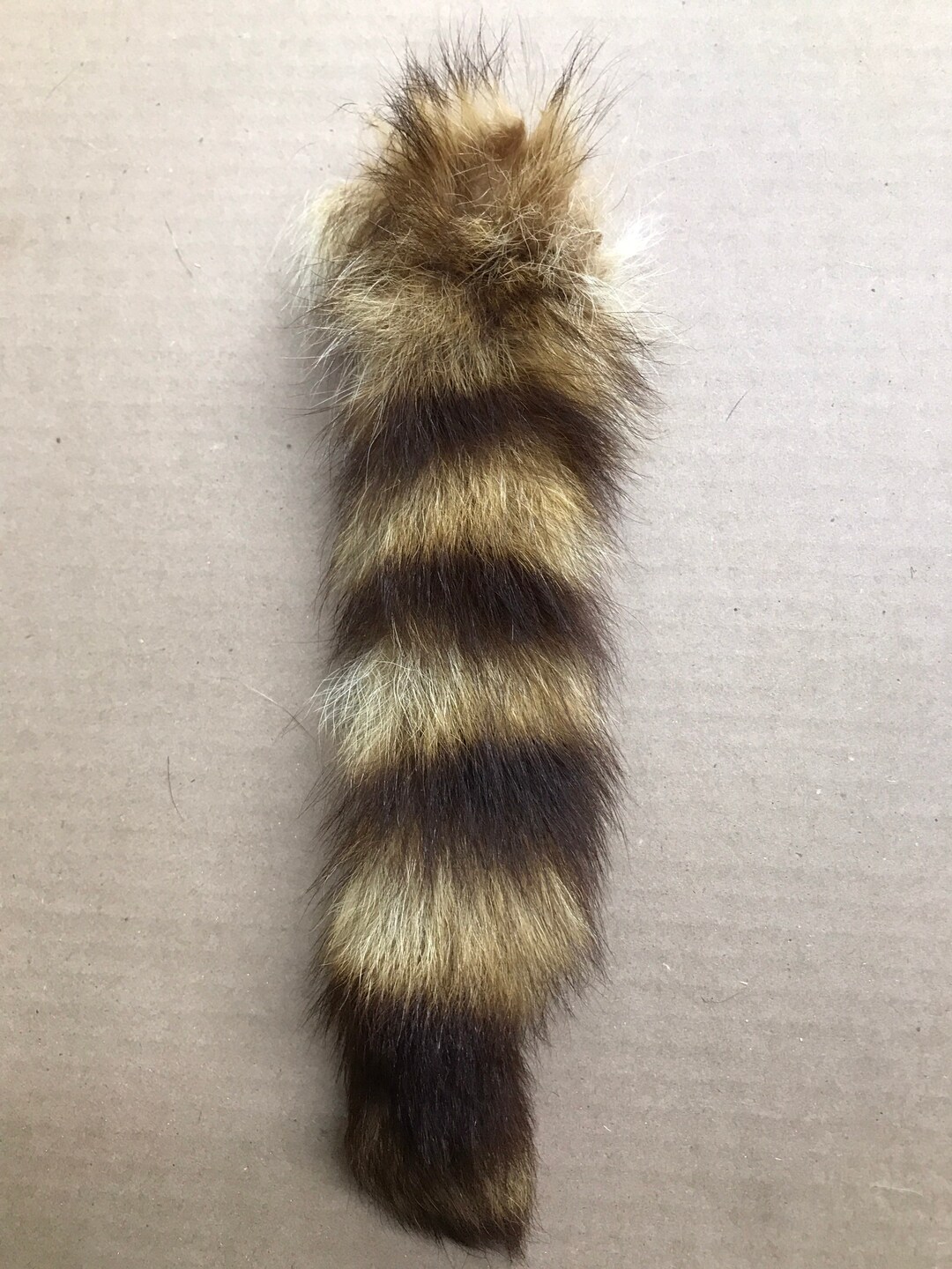 Bleached Raccoon Tail Keychain - Etsy