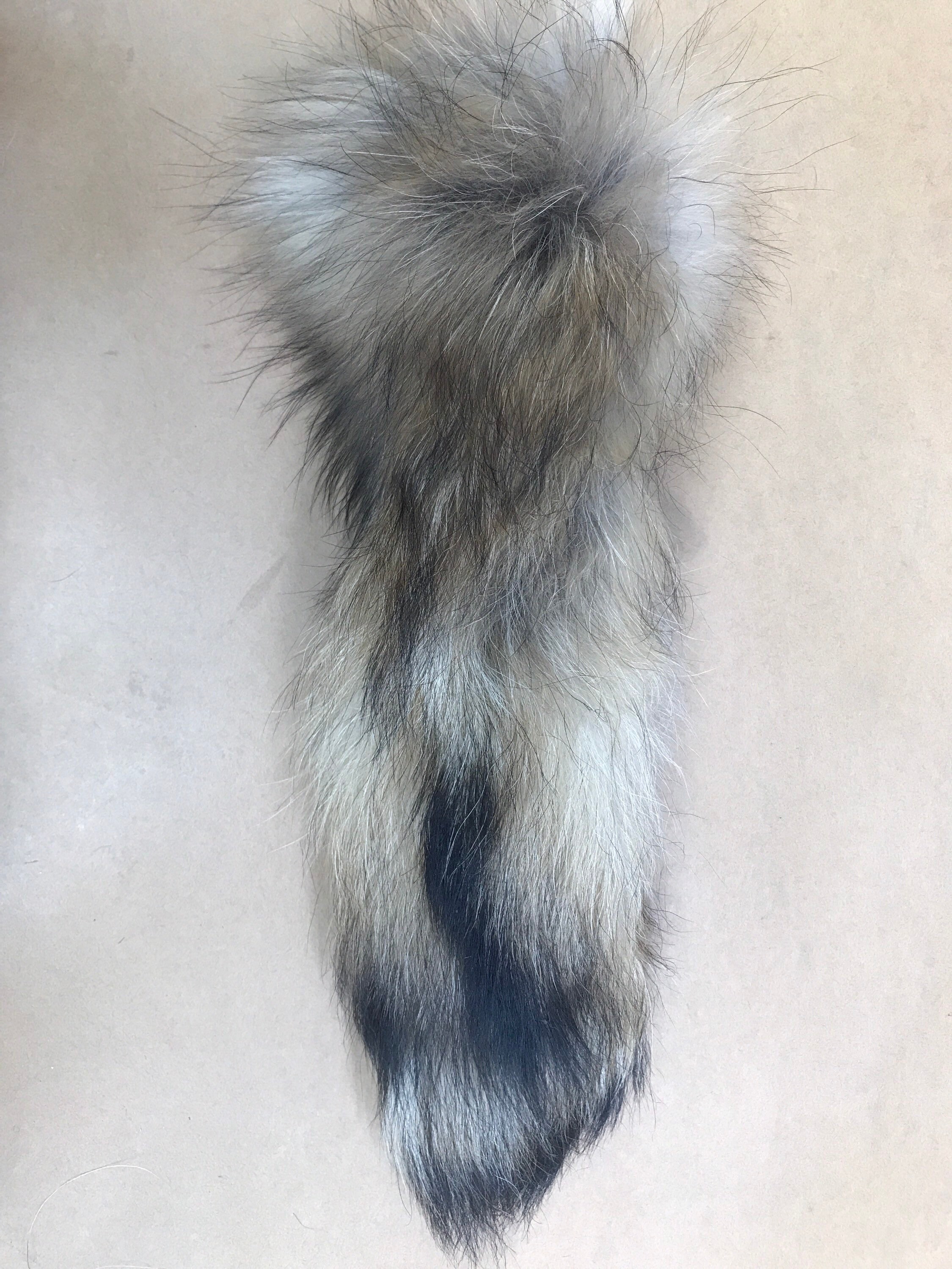 Natural Finn Raccoon Tail Keychain - Etsy