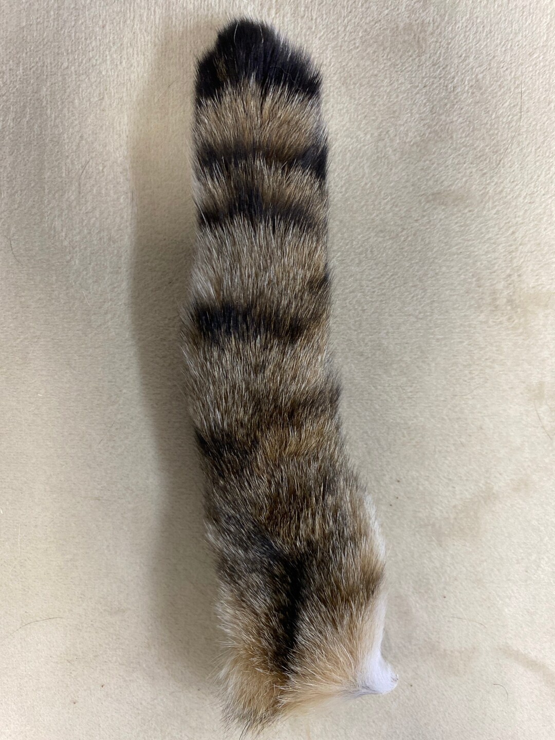 Natural Bobcat Tail Keychain - Etsy
