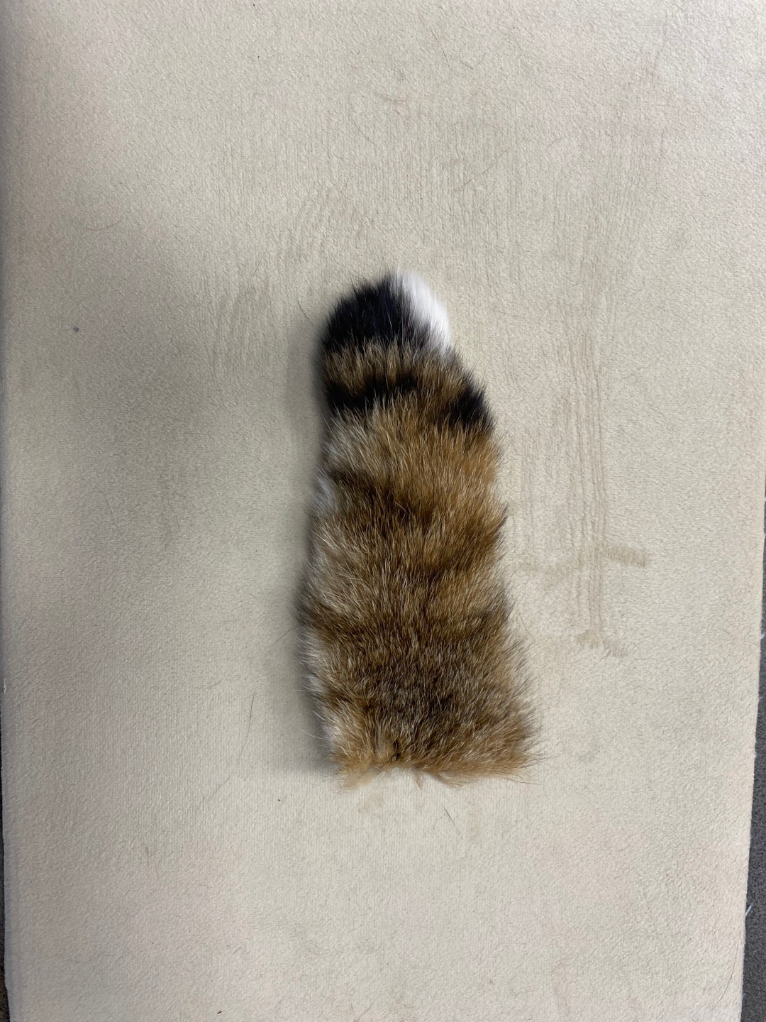 Natural Bobcat Tail Keychain - Etsy