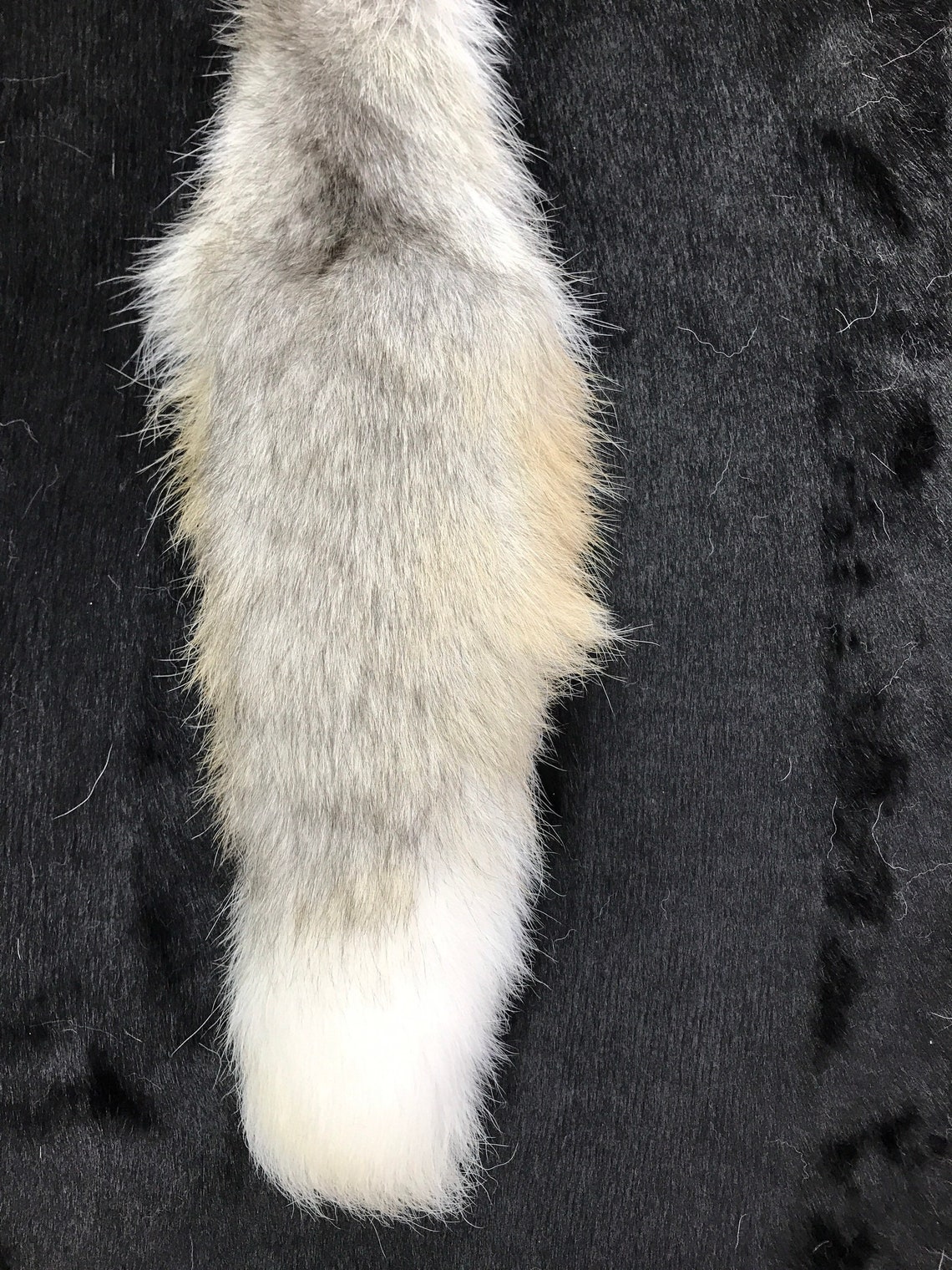 Natural Arctic Golden Island Fox tail | Etsy