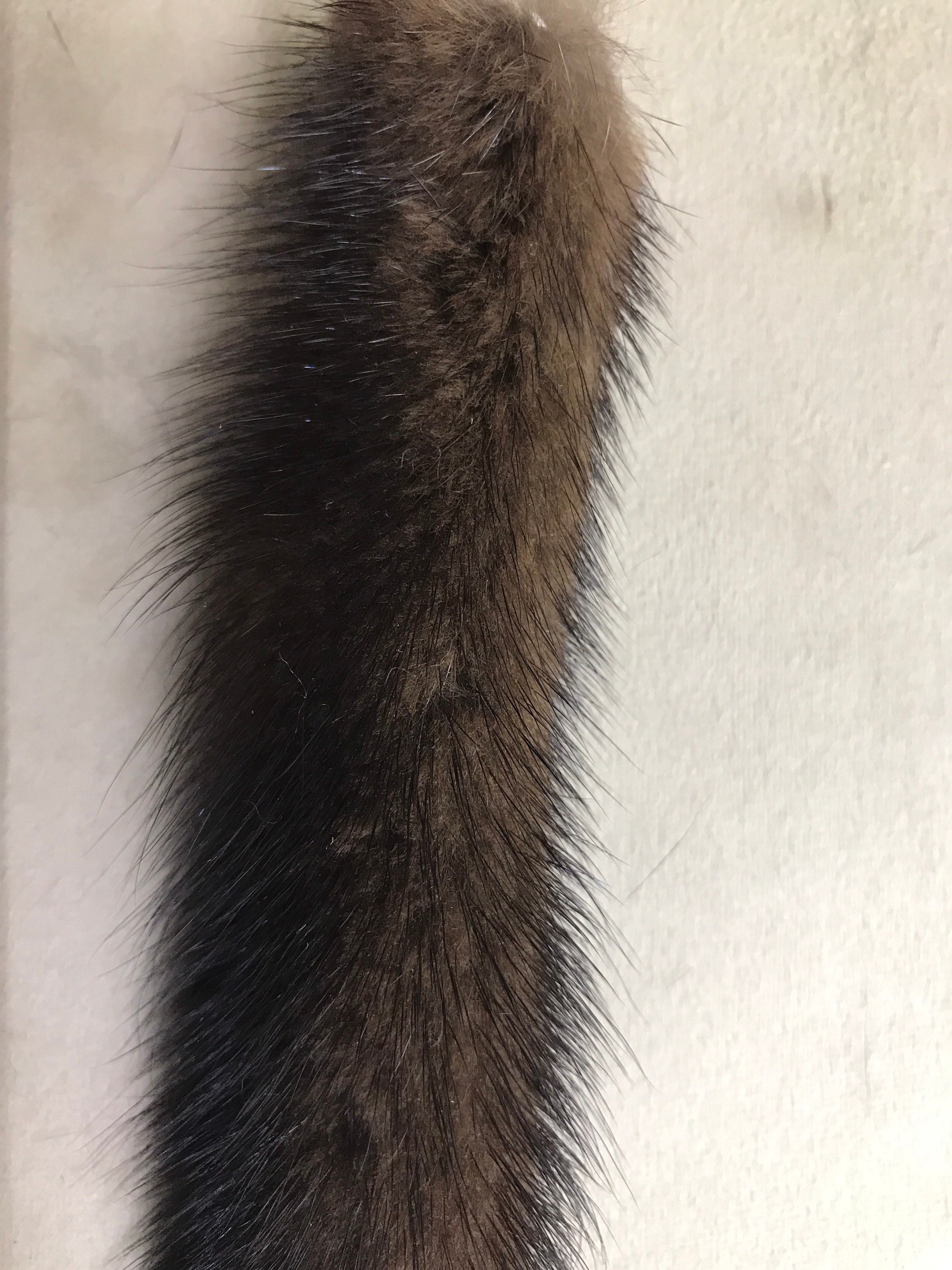 Natural brown Mink tail keychain | Etsy