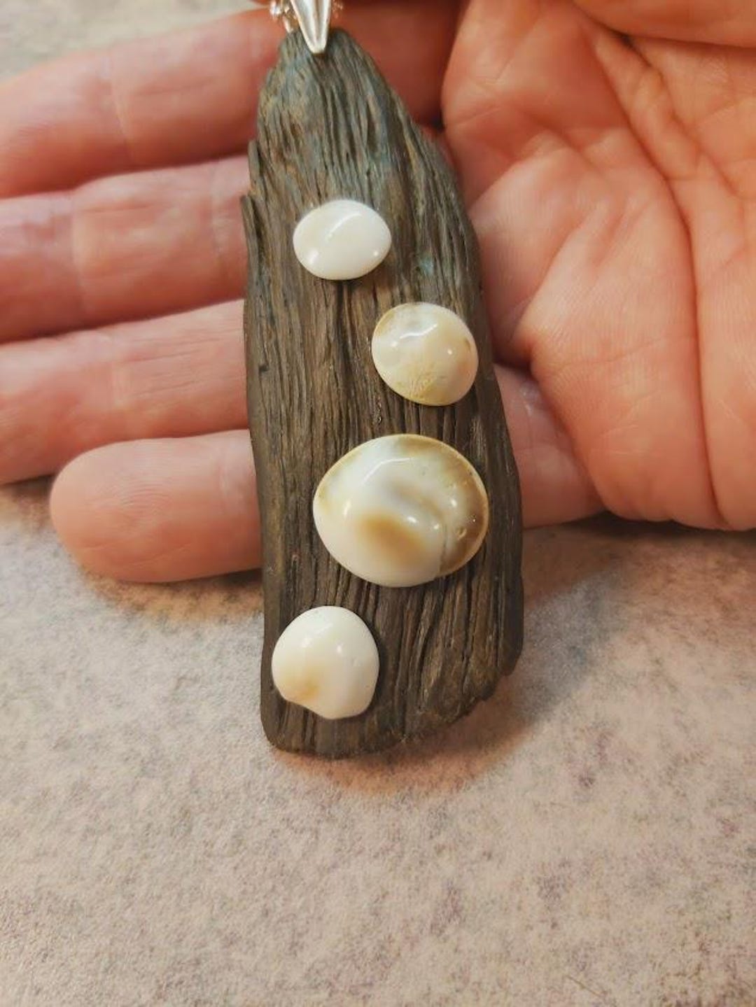 Natural Shiva Eye Shell Operculum, Cedar Driftwood and Sterling Silver ...
