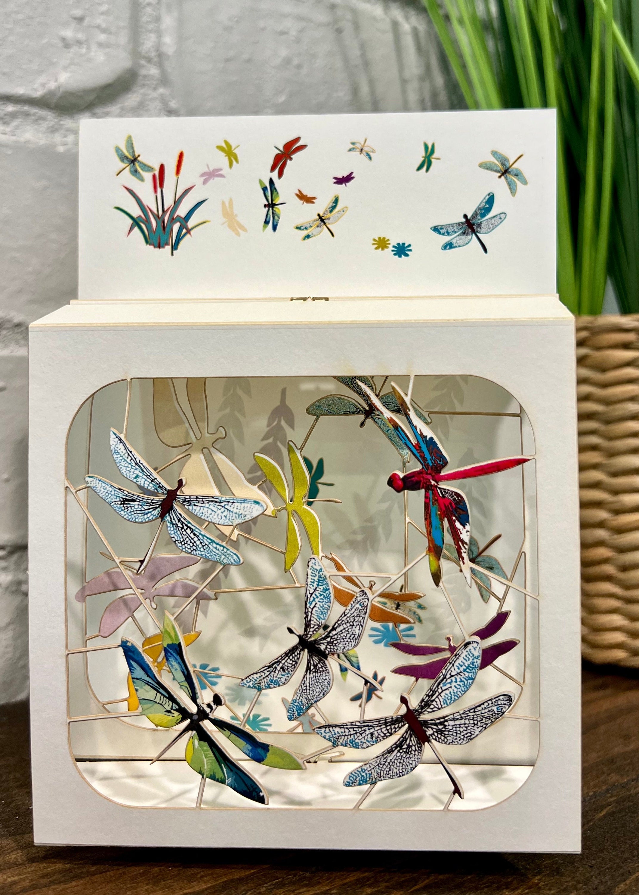 Dragonfly Magic Box Laser Cut Card - Etsy