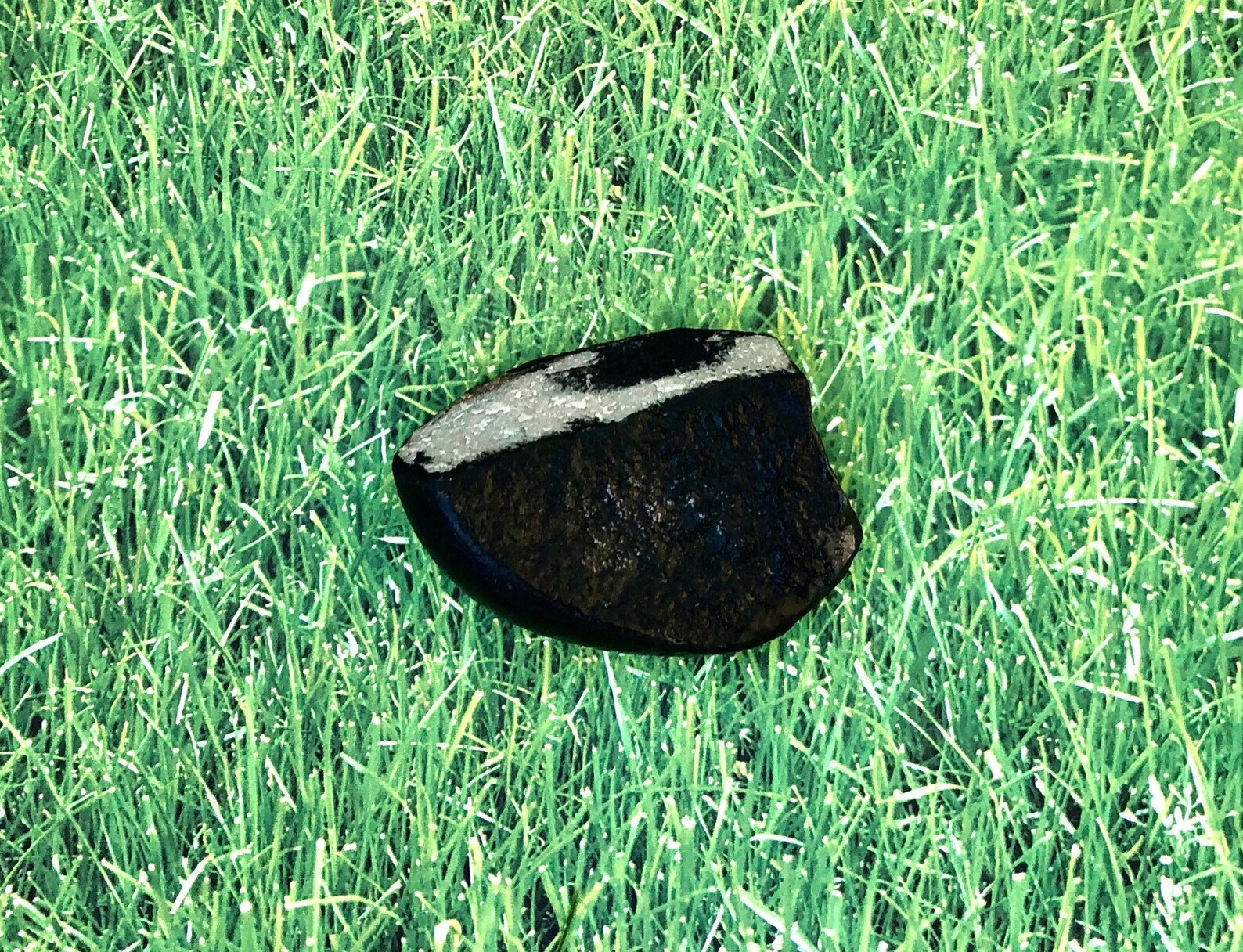 Pet Stone, Painted Rock, Monster Rock, Black Rock With Green Eyes, Kids ...