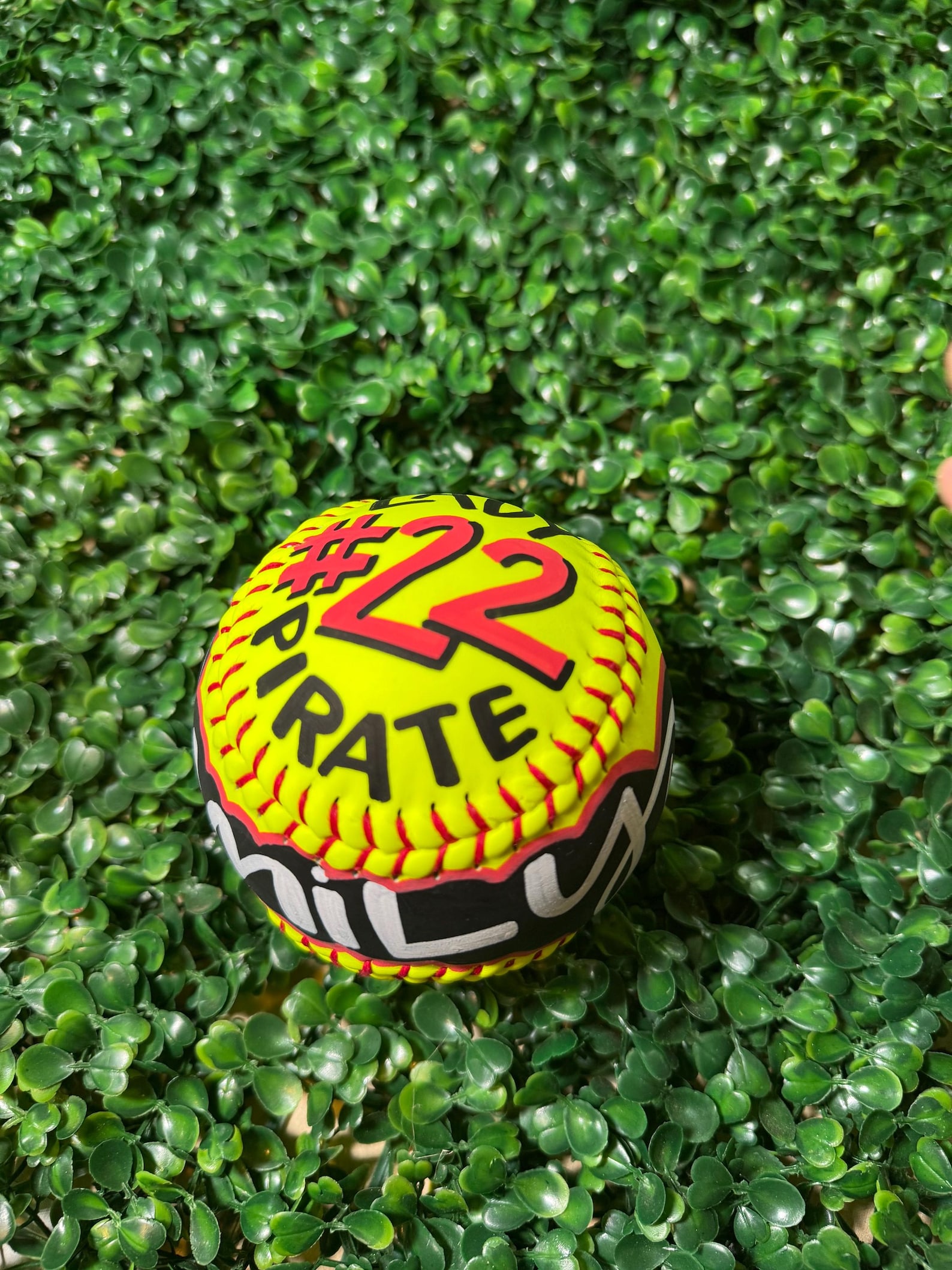 Personalized Hand Painted Softball, Senior Gift, Coach Gift, Athlete ...