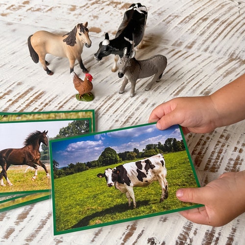 Farm Animal Montessori Inspired Activity 3 Part Cards - Etsy