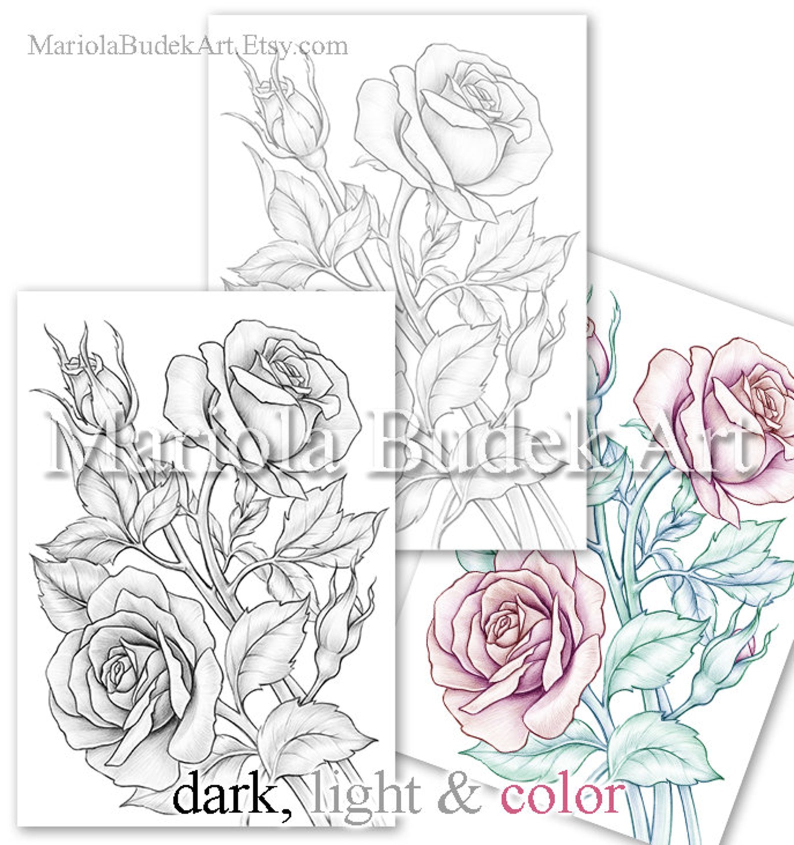 Flower Inspirations Roses Mariola Budek Sketchbook Printable Adult ...